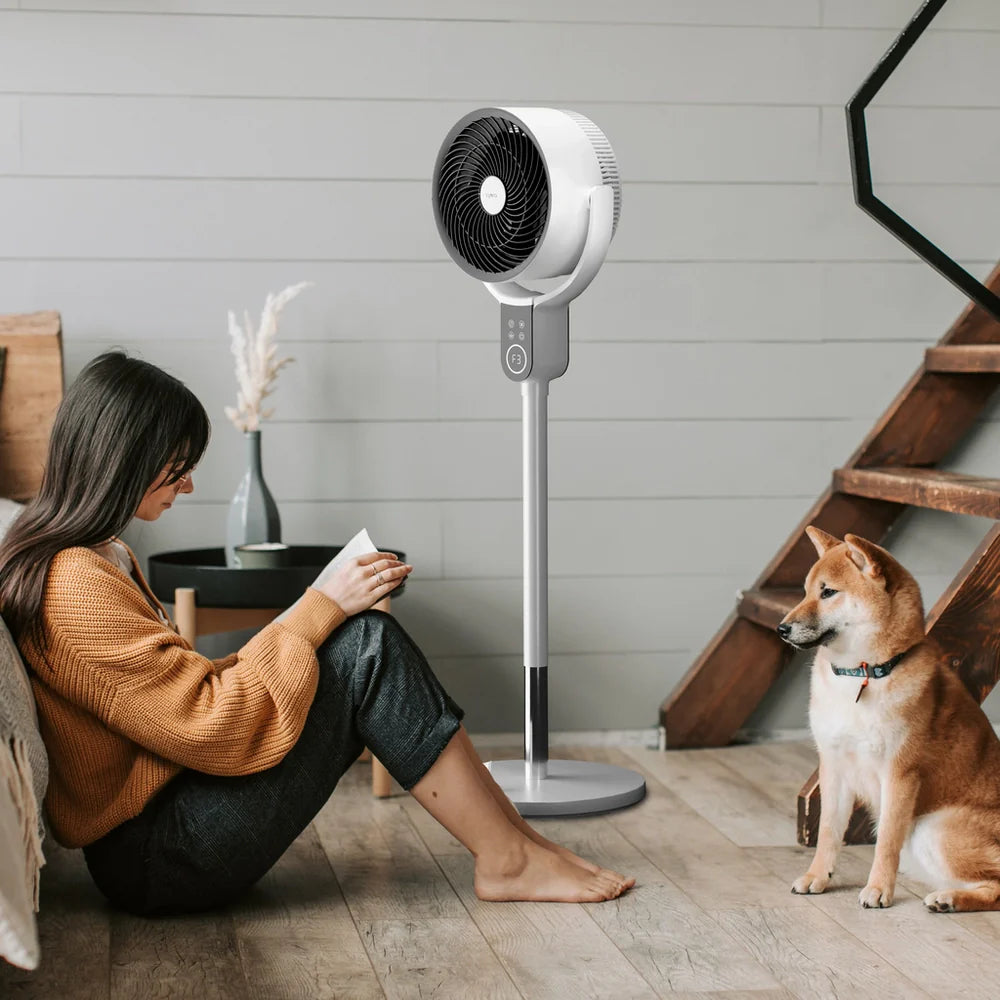 Fans – DB Domestic Appliances